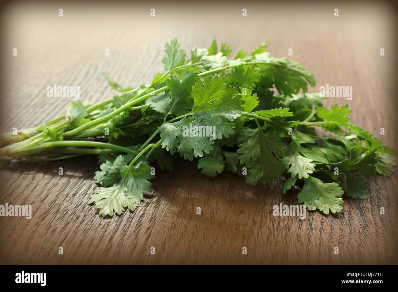 Leafy green coriander hi-res stock photography and images - Alamy