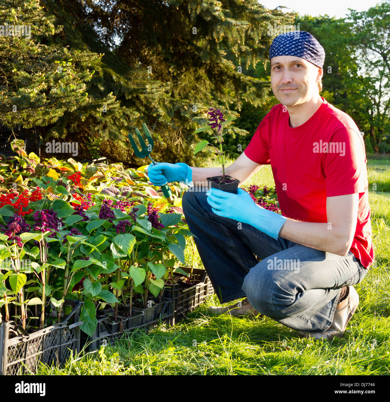 Happy smiling young man gardening - planting flowers Stock Photo - Alamy