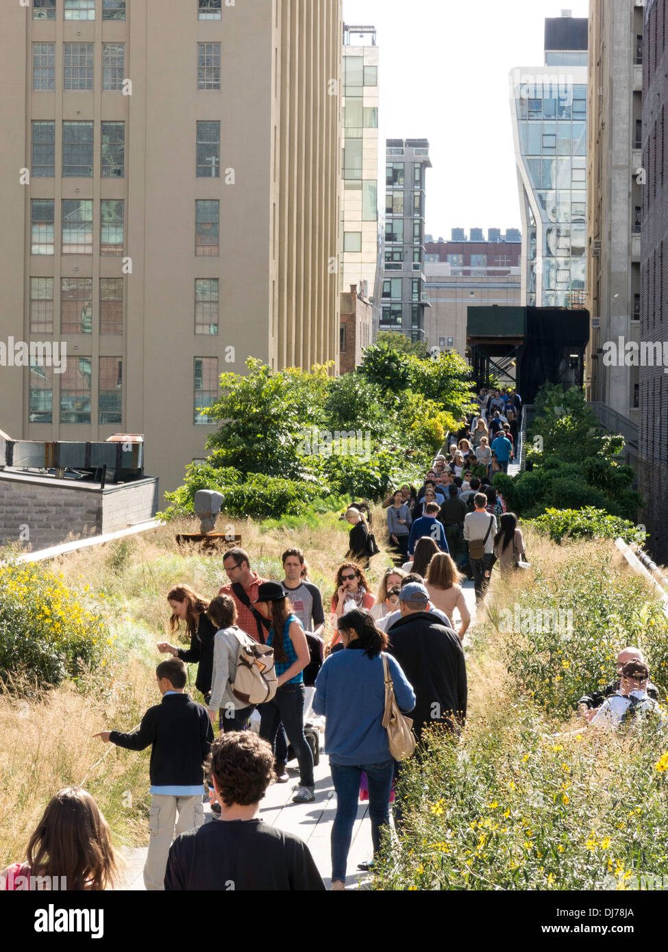 Visitors Walking on High Line Park, NYC Stock Photo - Alamy
