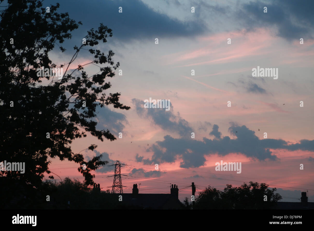 A pink and grey sunset at dusk with streaky clouds and a tree and house ...