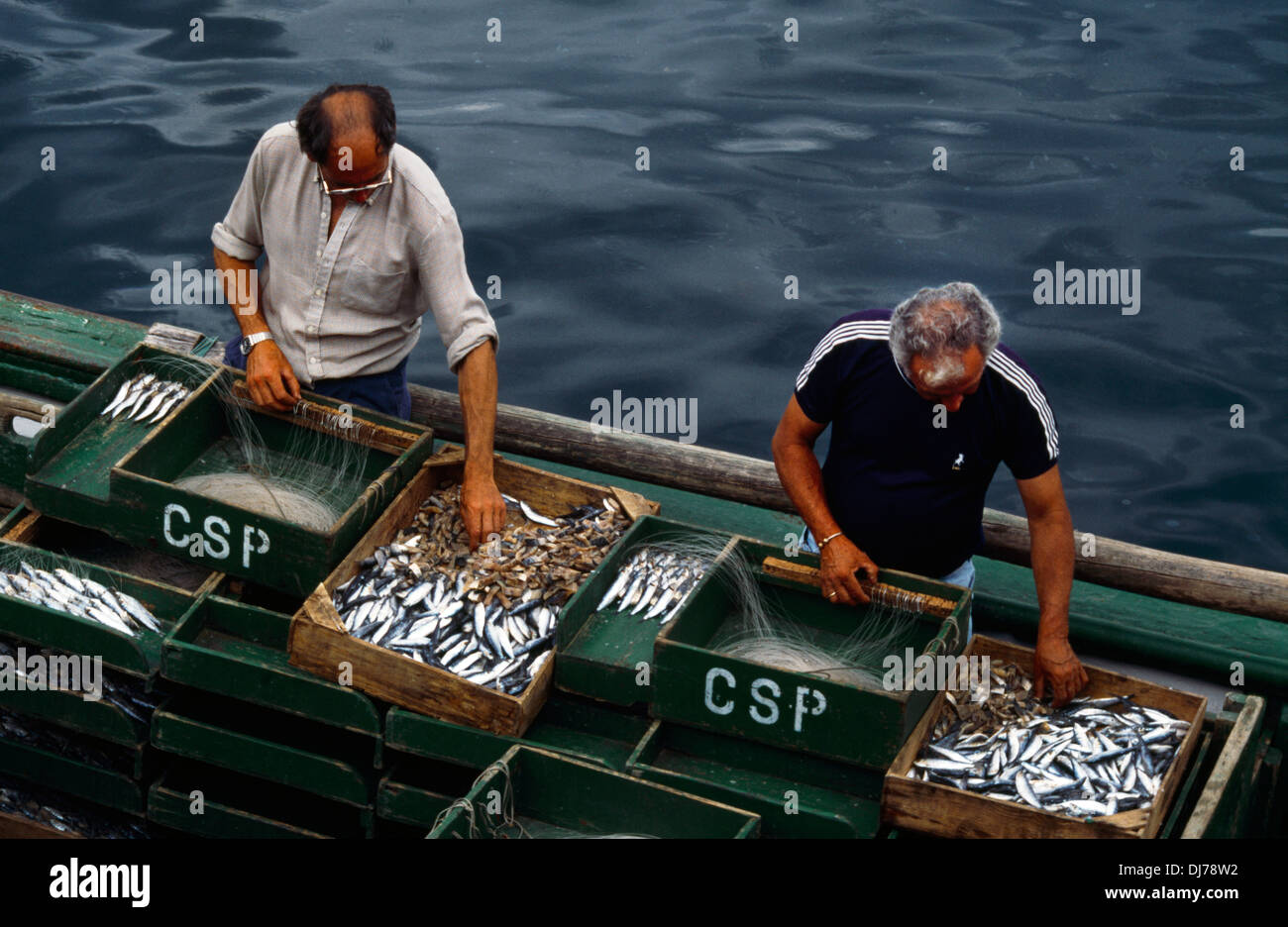 Oporto Portugal Fish Market Stock Photo - Alamy