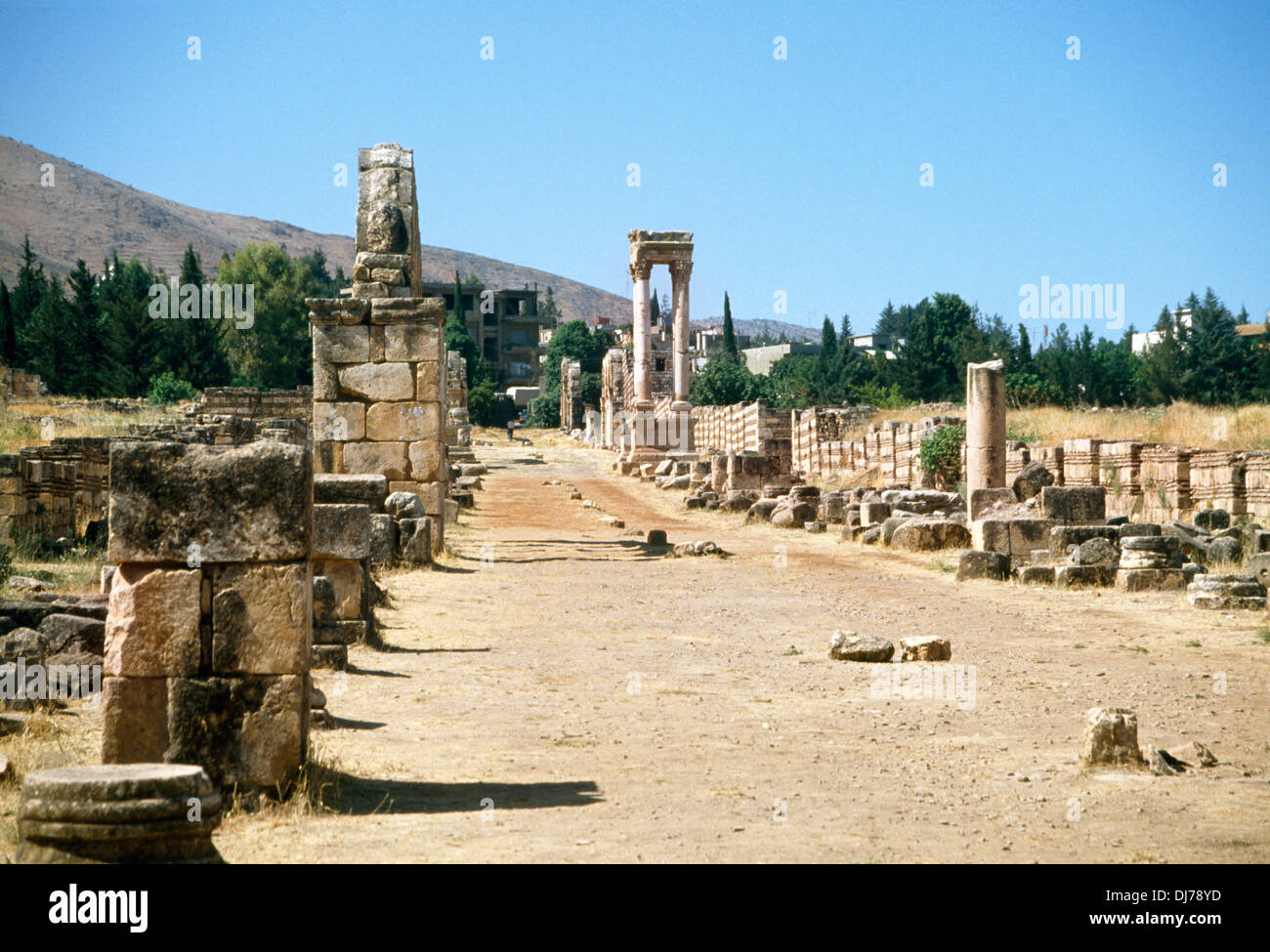 Anjar Lebanon Roman Ruins Built in 8th Century Umayyads in Roman Style ...