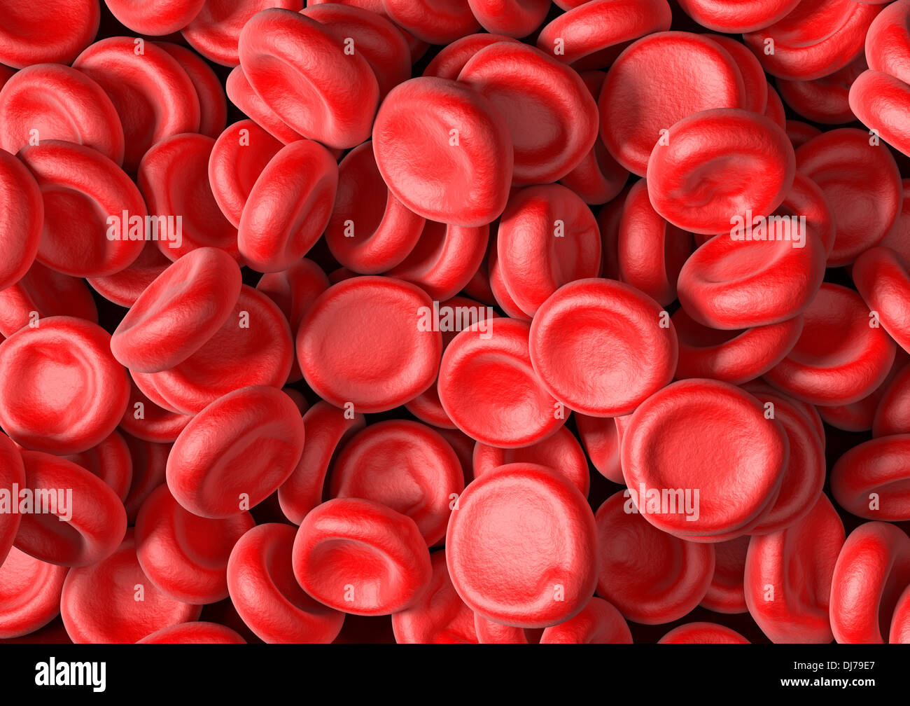 Blood cells in a electron microscopy Stock Photo - Alamy