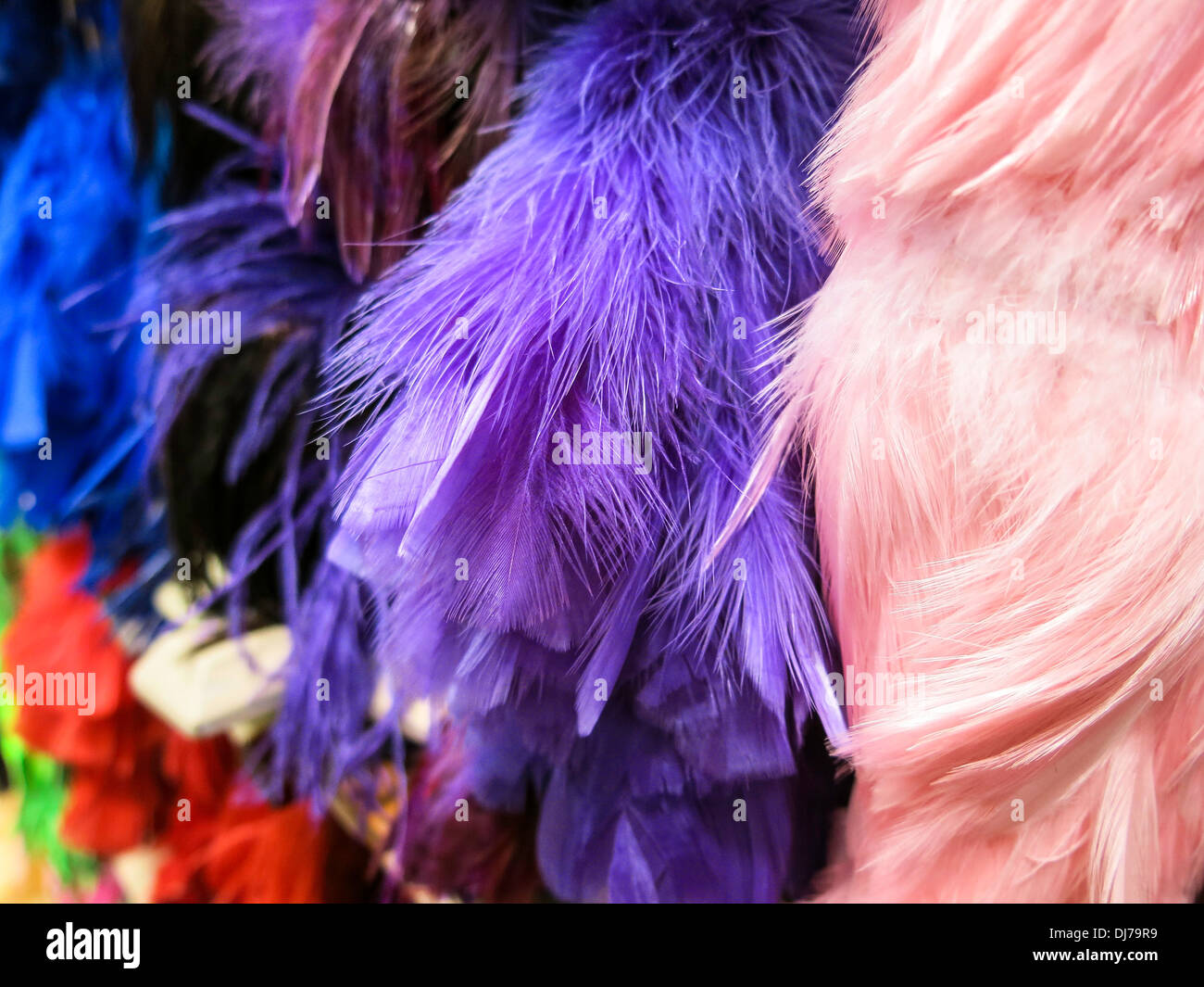 Feathered trim hi-res stock photography and images - Alamy