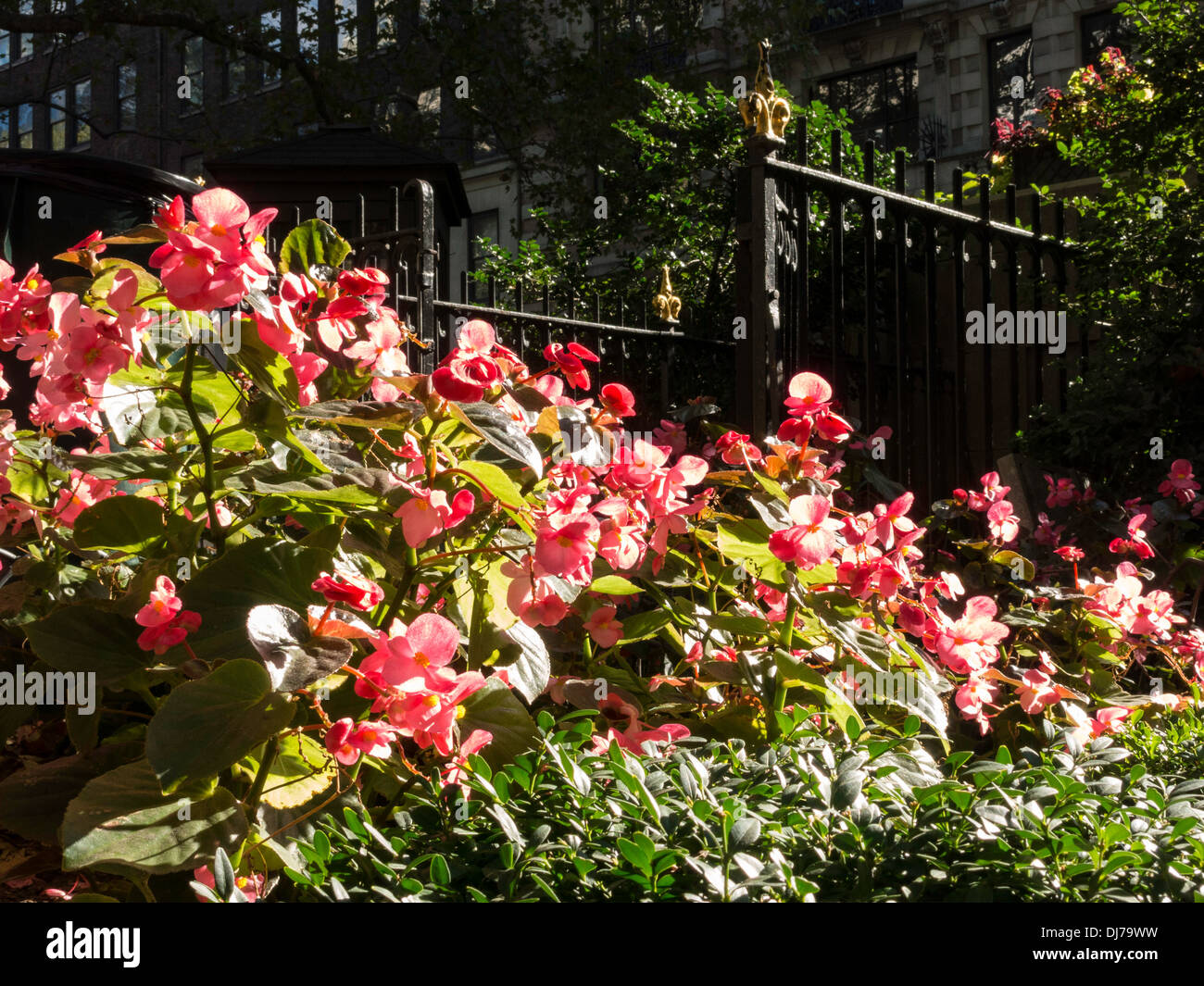 Bryant Park, NYC Stock Photo - Alamy
