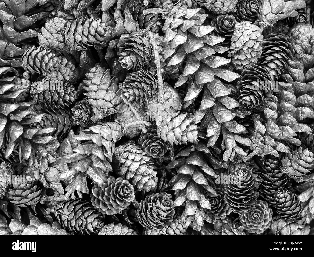 Background christmas tree decorations Black and White Stock Photos ...