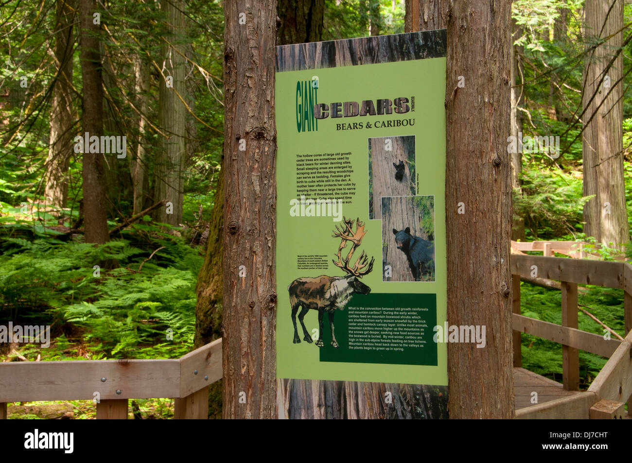 Giant sign board hi-res stock photography and images - Alamy