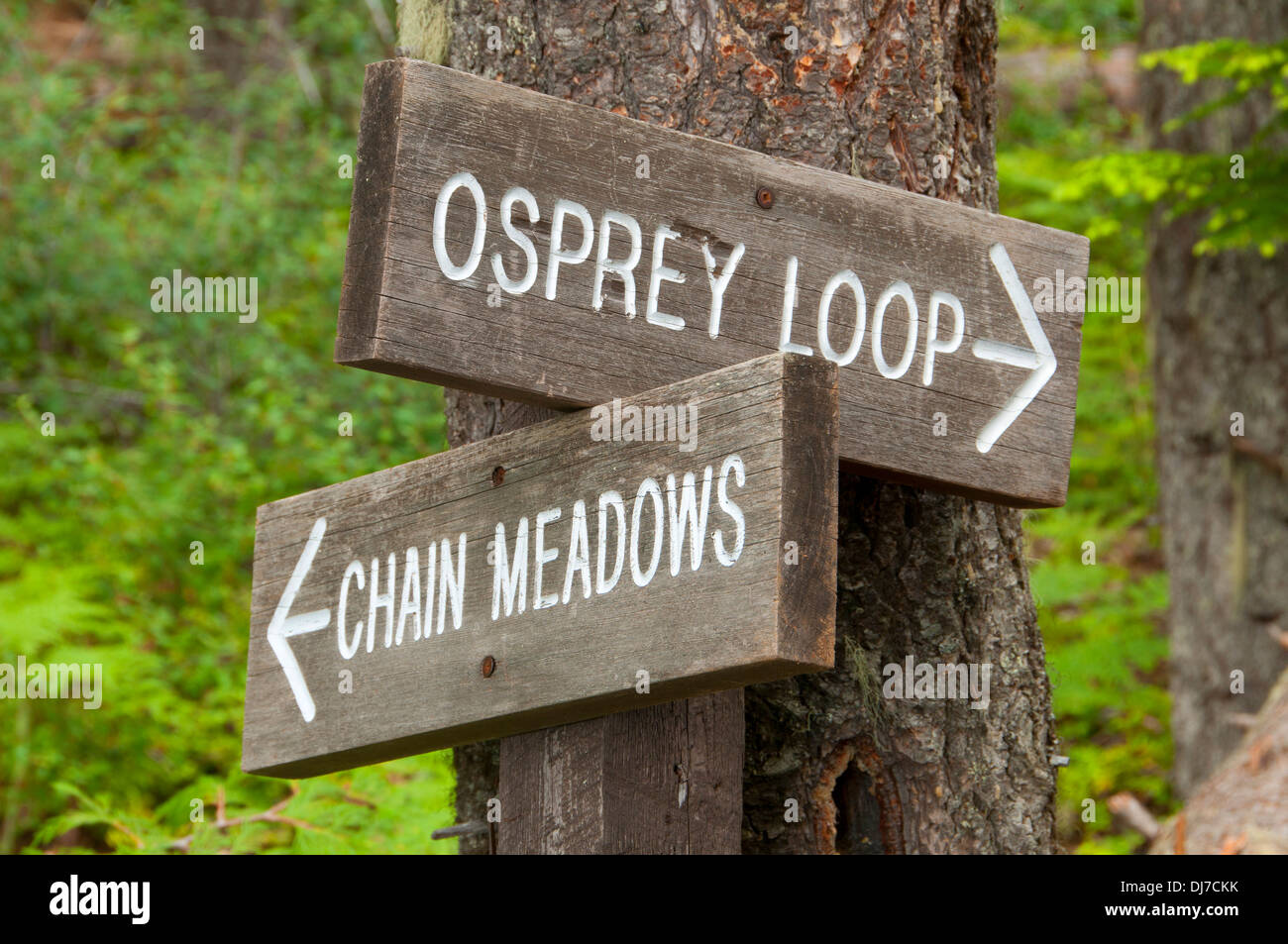 Chain Meadows Lake Trail signs, Wells Gray Provincial Park, British ...