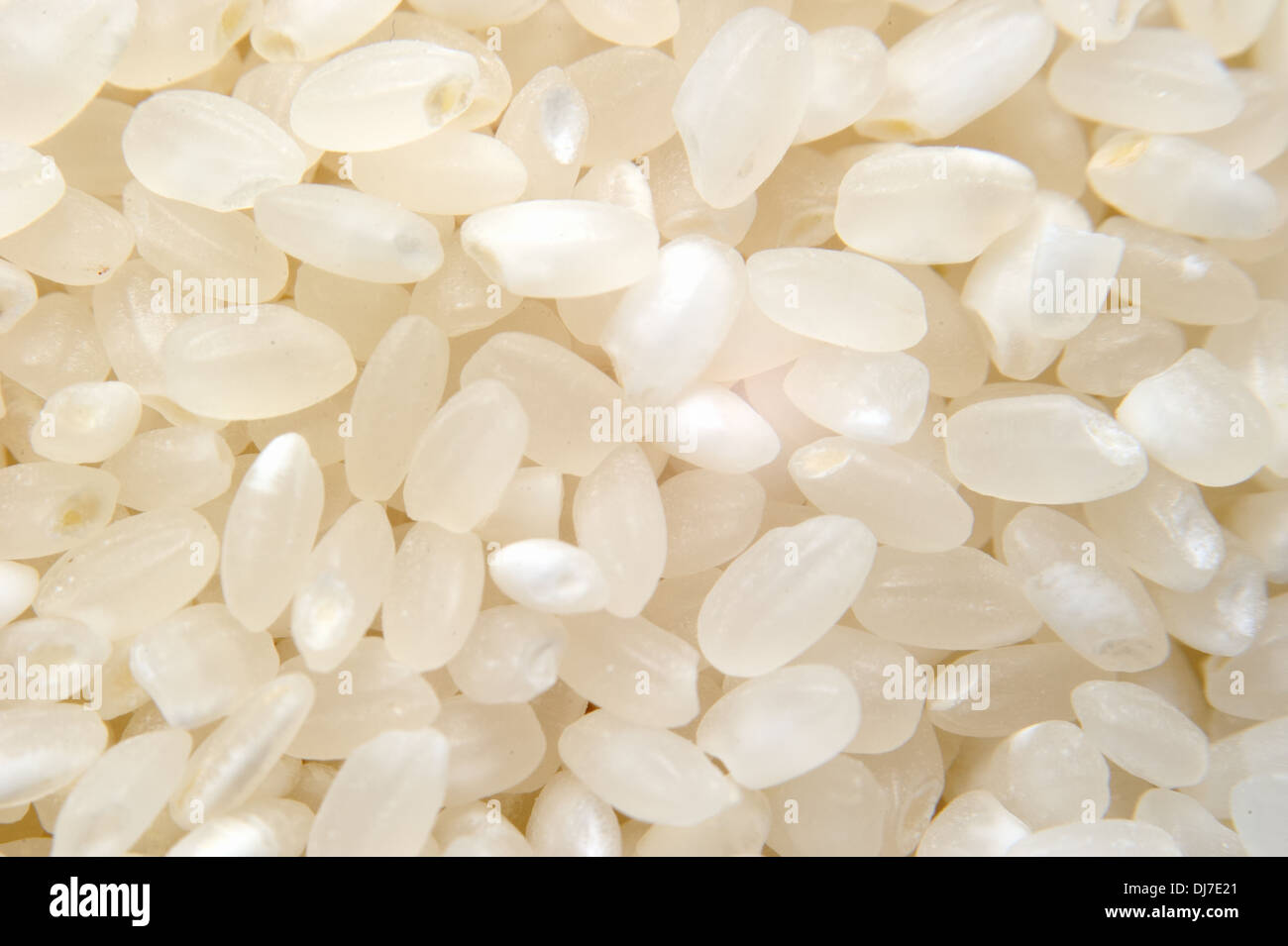Dehusked rice hi-res stock photography and images - Alamy