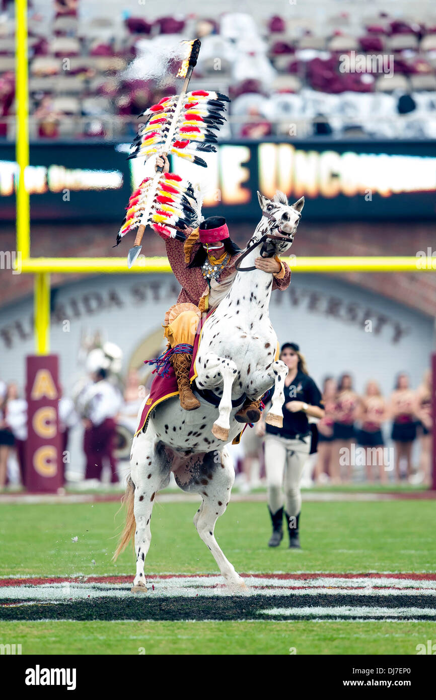 Fsu Football Mascot