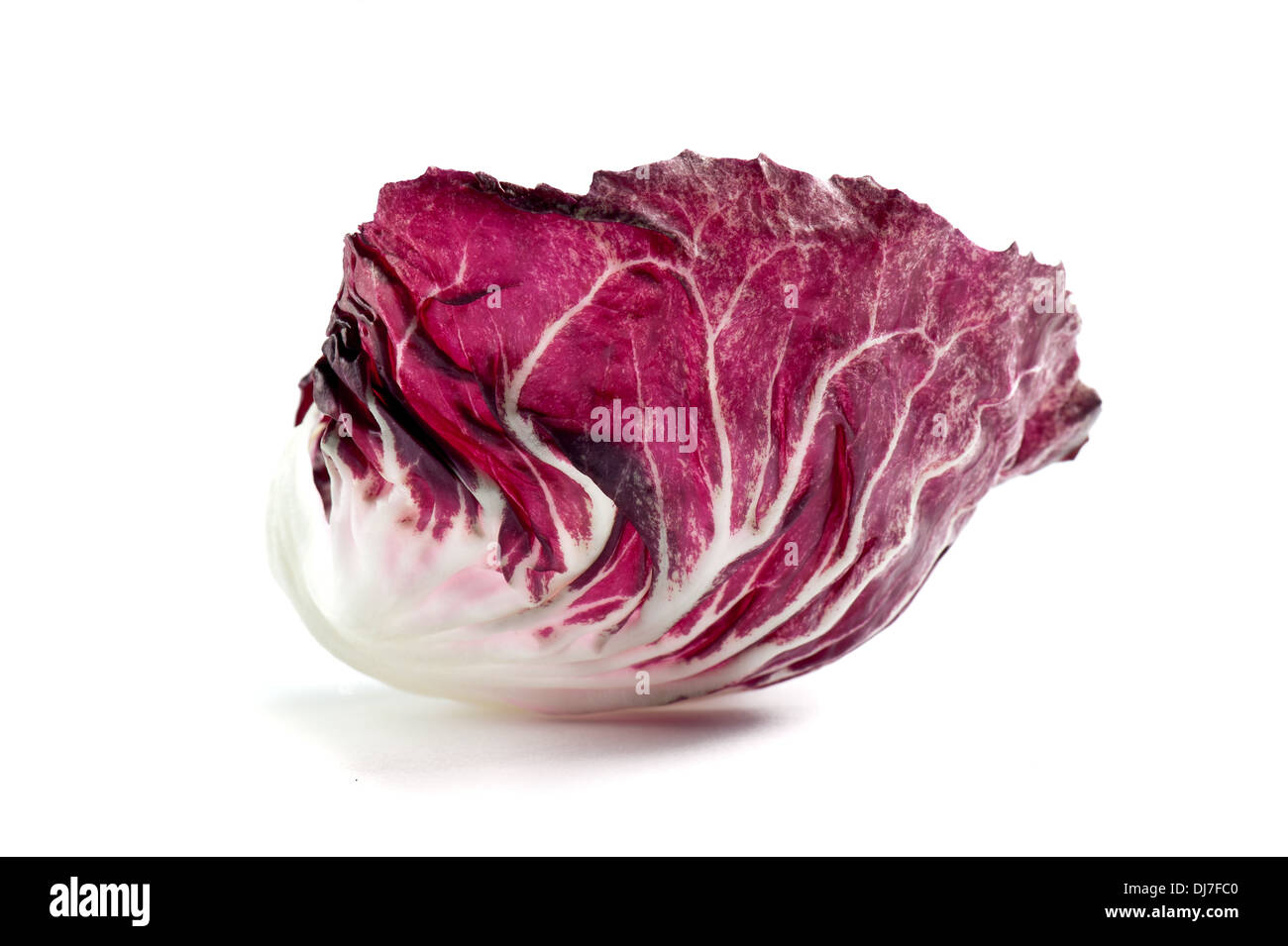Fresh radicchio Leaf (also known as red chicory or chioggia Stock Photo ...
