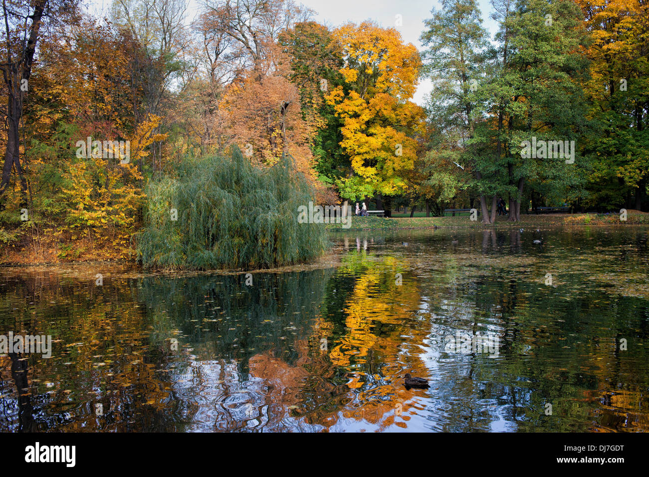 Lake and autumn foliage in the Royal Lazienki Park (Polish: Lazienki ...