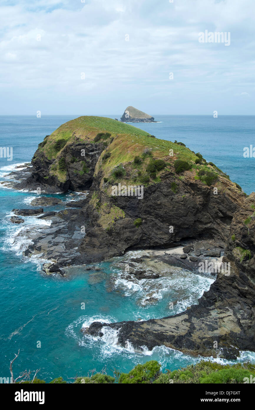 View over Mutton Bird Island from the lookout, Lord Howe Island ...