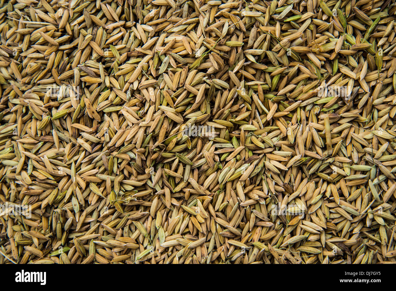 Seamless texture white in hi-res stock photography and images - Alamy