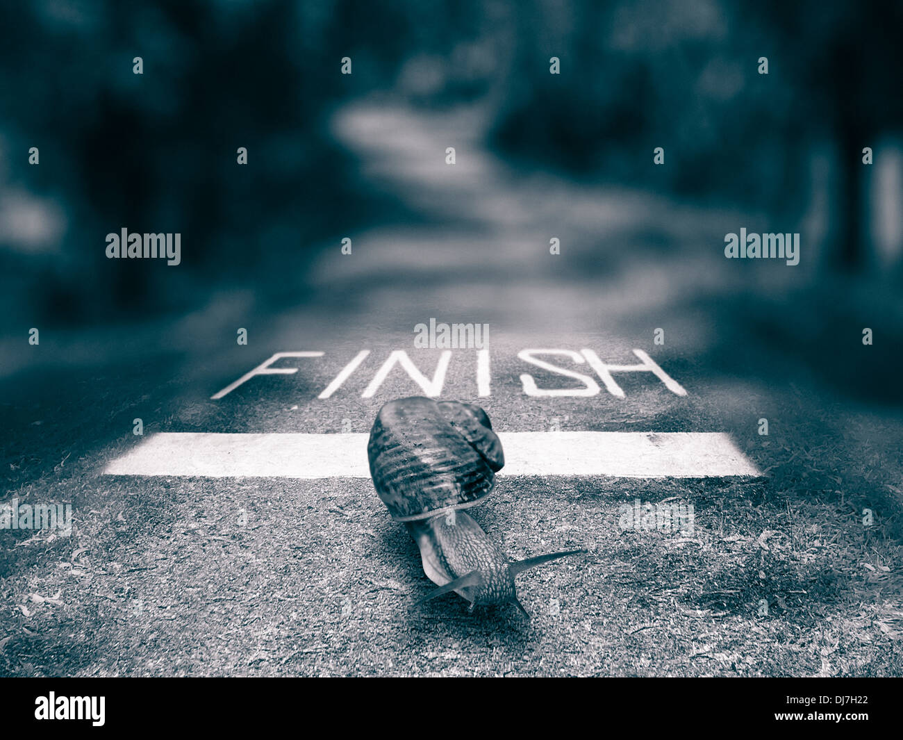 Snail going over the finish line, Concept Stock Photo - Alamy