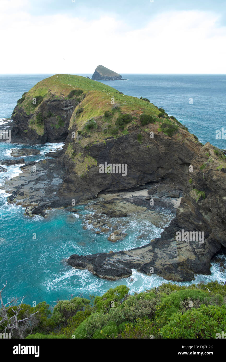 View over Mutton Bird Island from the lookout, Lord Howe Island ...