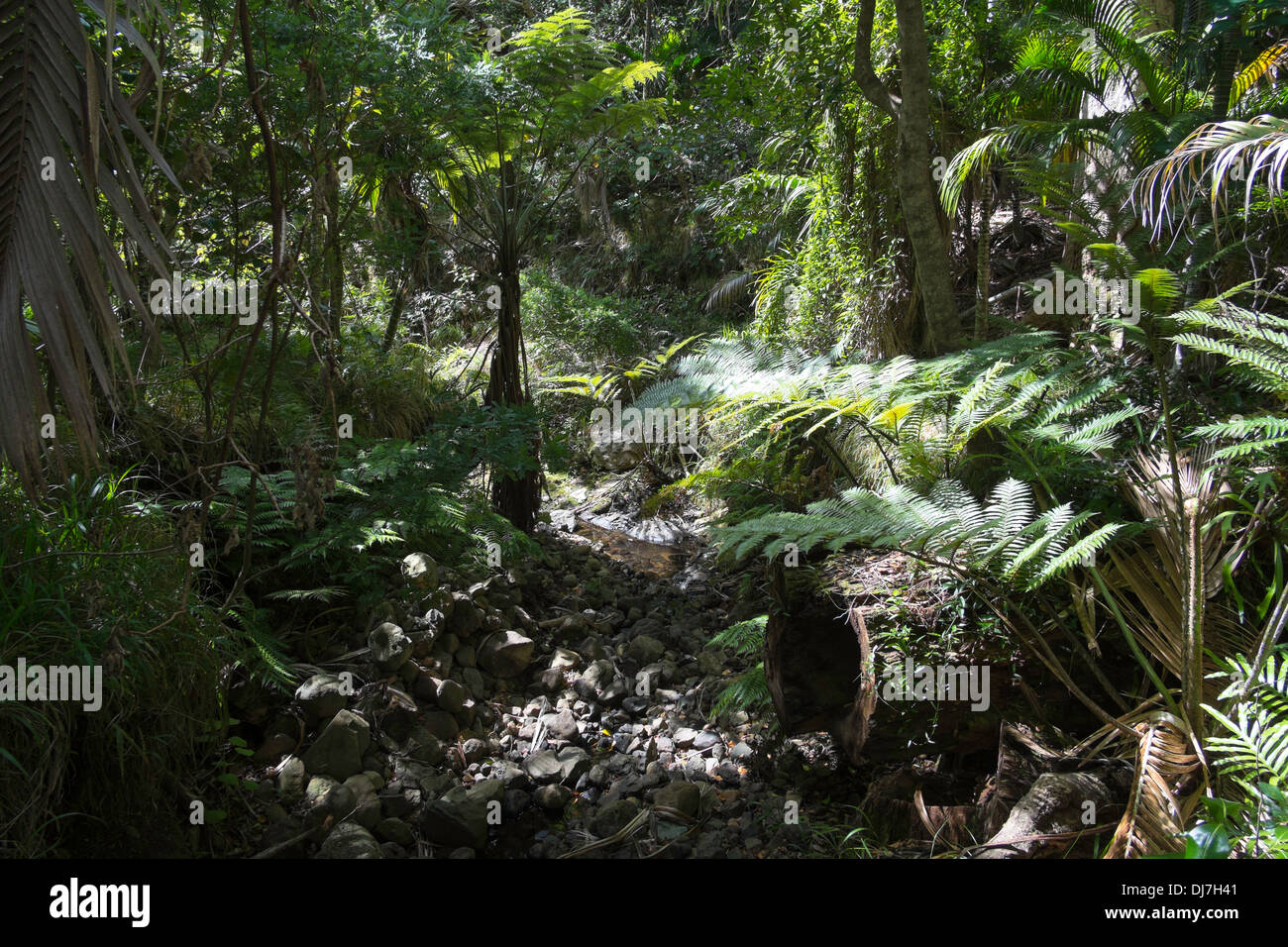 Shady island hi-res stock photography and images - Alamy