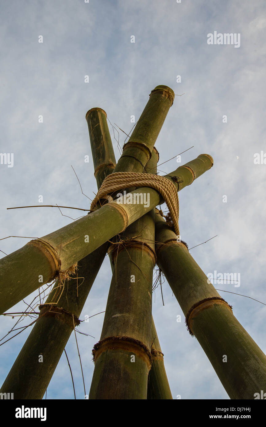 Bamboo poles hi-res stock photography and images - Alamy
