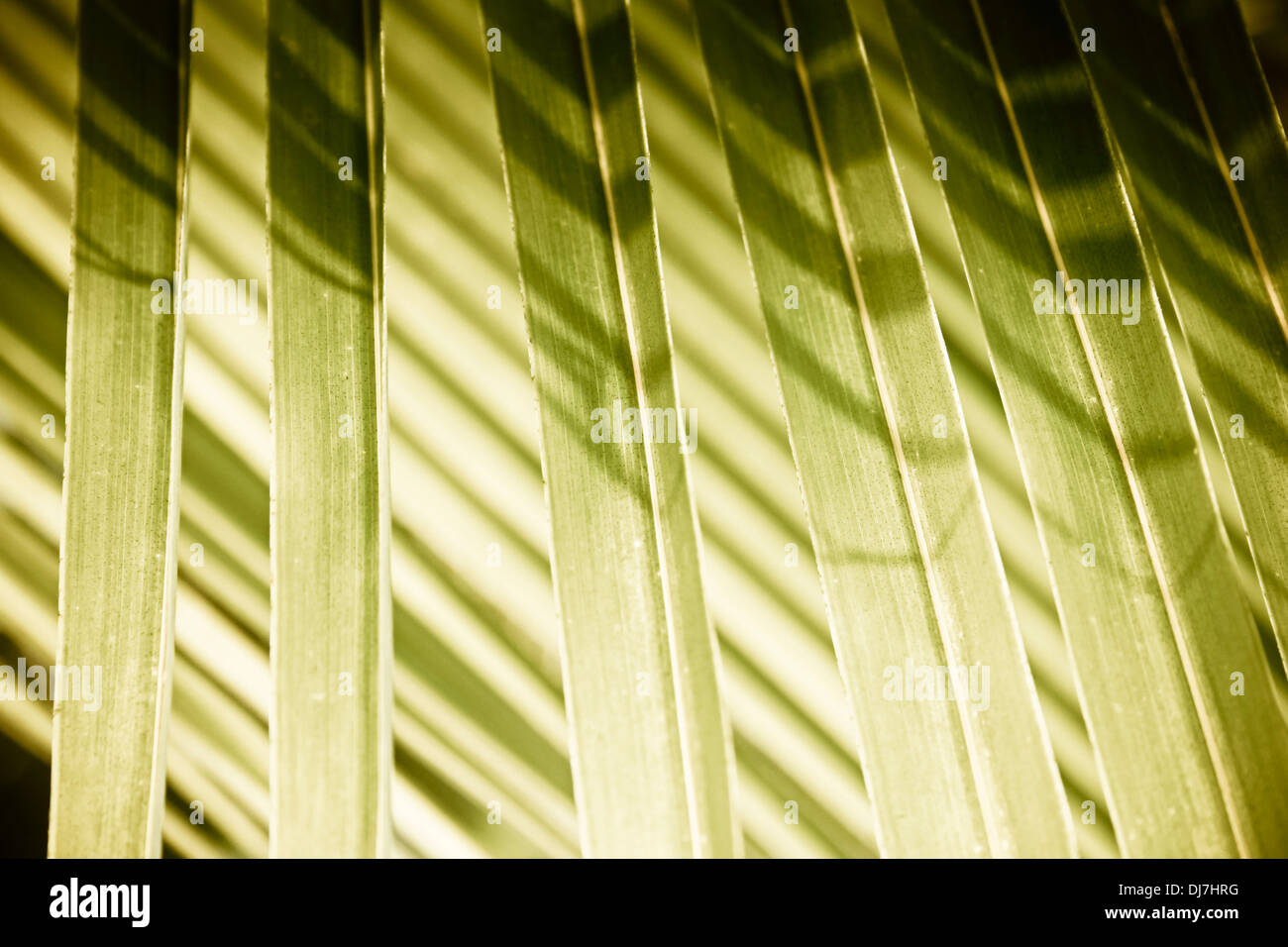 Light shadow textures in hi-res stock photography and images - Alamy