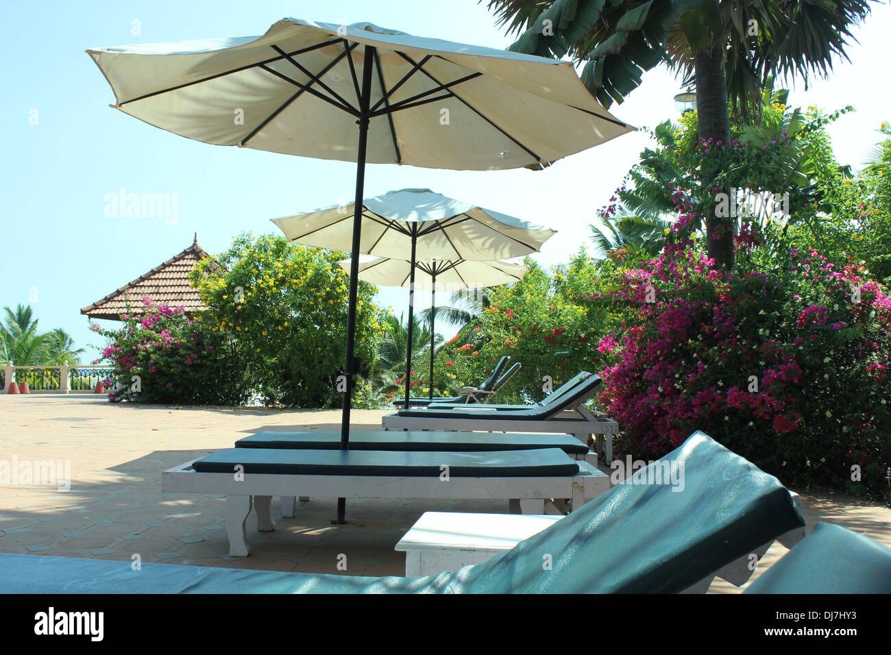 Pool chair in a resort Stock Photo - Alamy