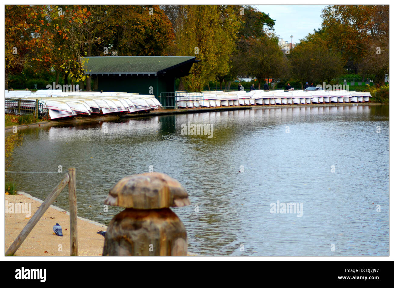 Calming scene at the boating lake Stock Photo - Alamy
