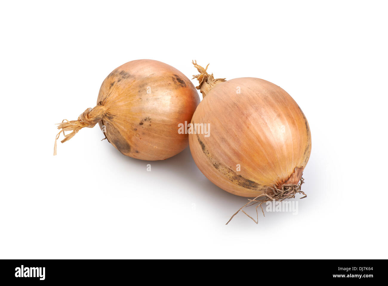 Two large onions hi-res stock photography and images - Alamy