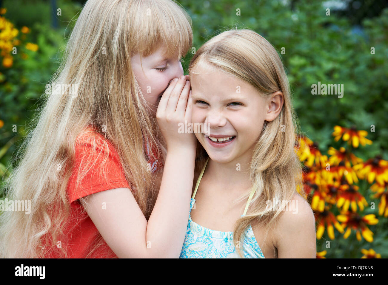 Girls tell each other secrets Stock Photo - Alamy