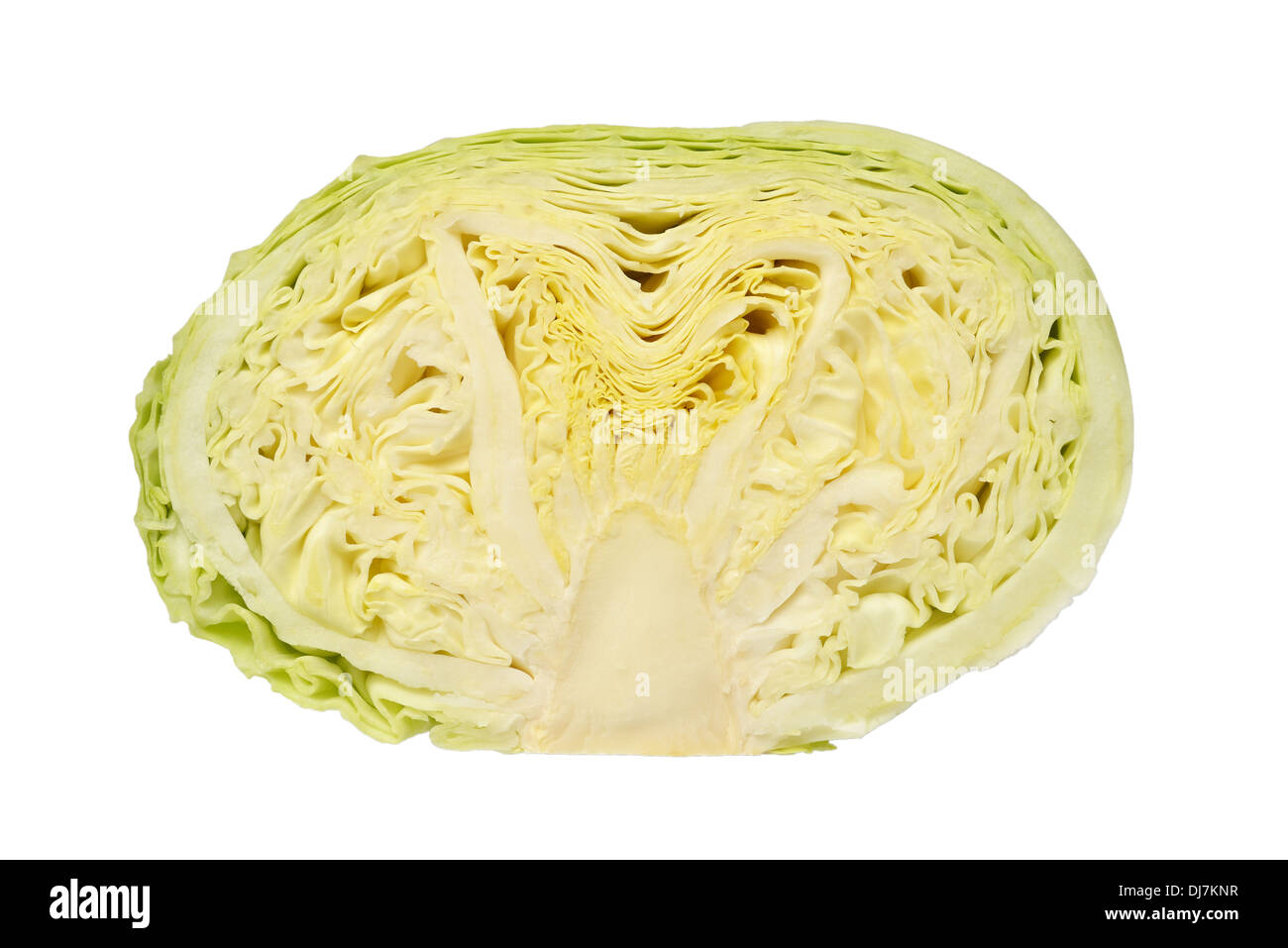 Cabbage cross section hi-res stock photography and images - Alamy
