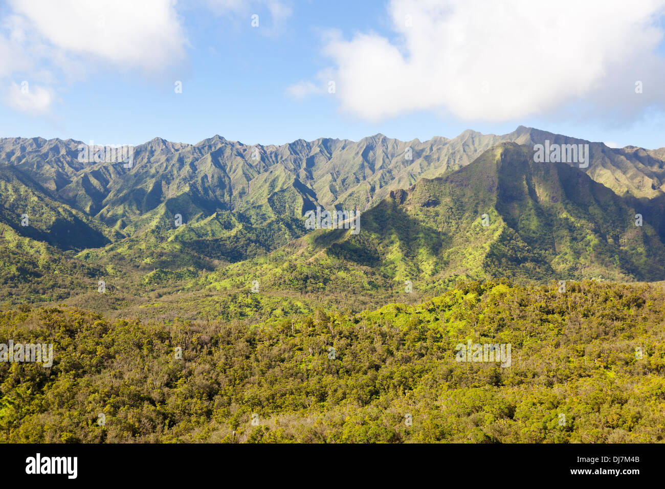 Stunning green rainforest landscape in the center of Kauai, Hawaii ...
