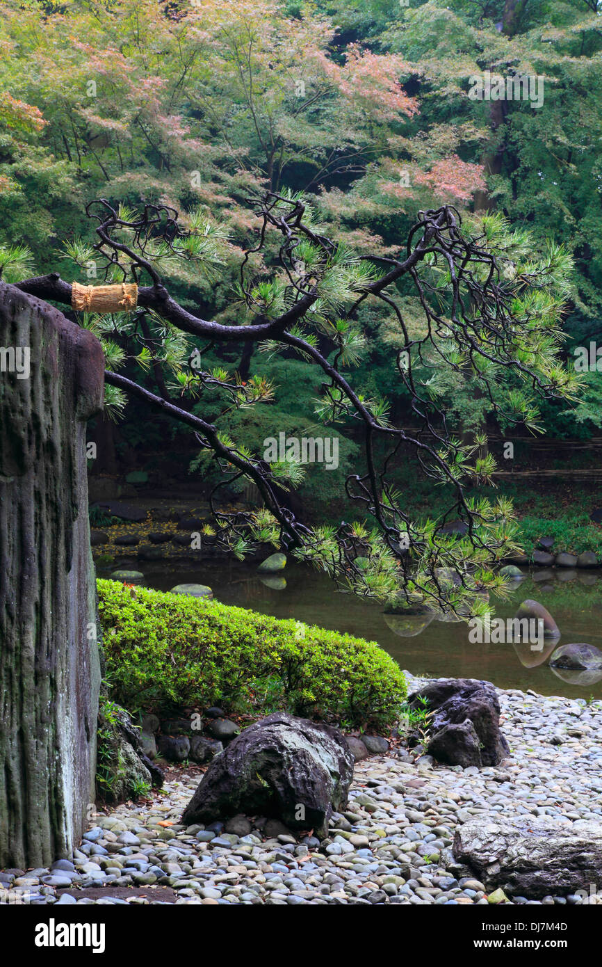 Japan, Tokyo, Koishikawa Korakuen Gardens Stock Photo - Alamy