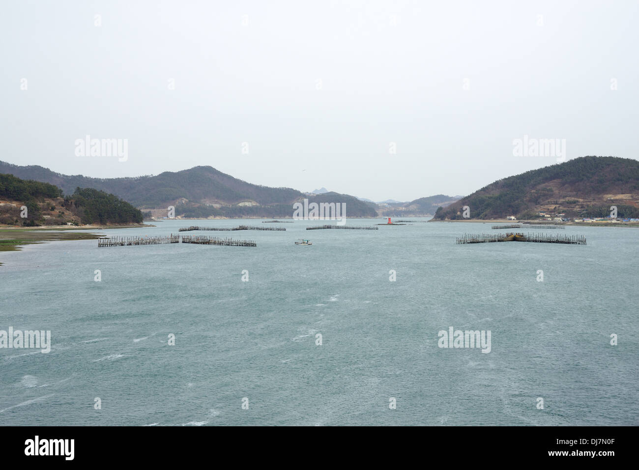 Korean Traditional Method for Fishing anchovy by flow of sea water ...
