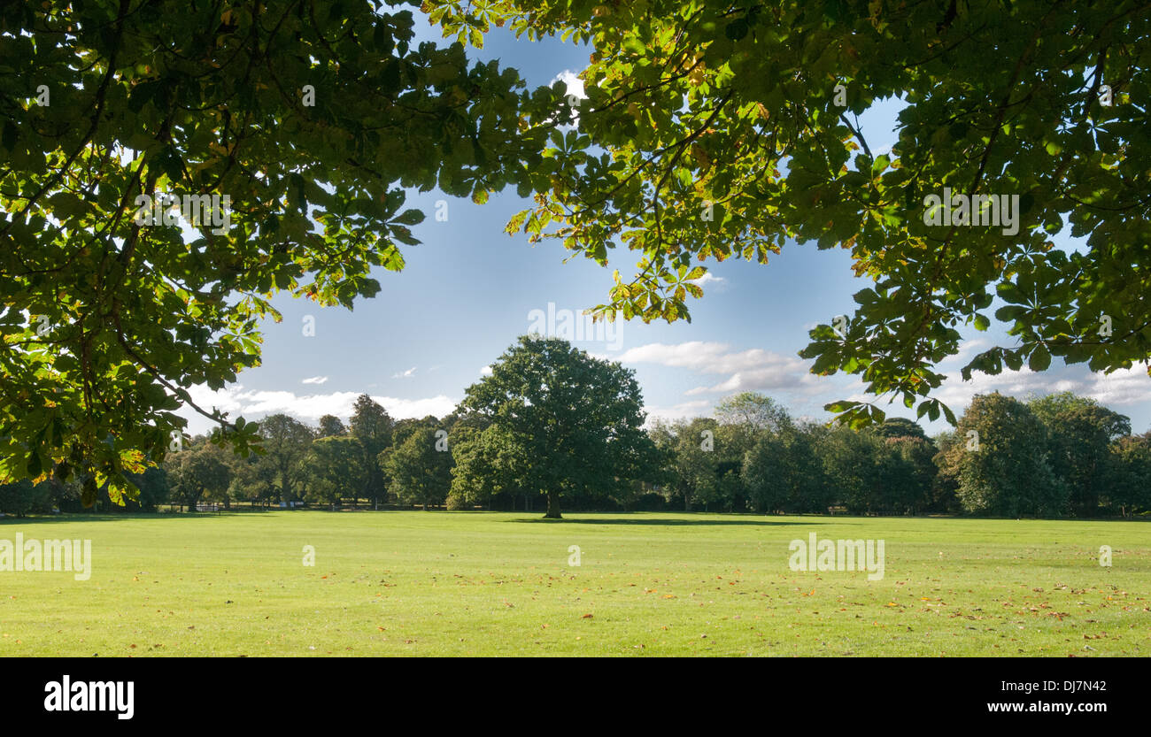 Tettenhall hi-res stock photography and images - Alamy