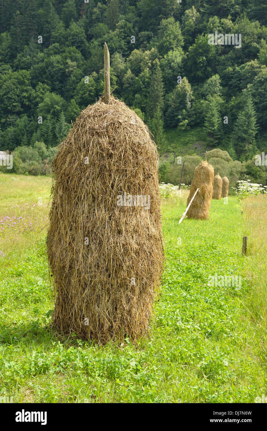 typical hay mow in Ukrainian Carpathian Stock Photo - Alamy