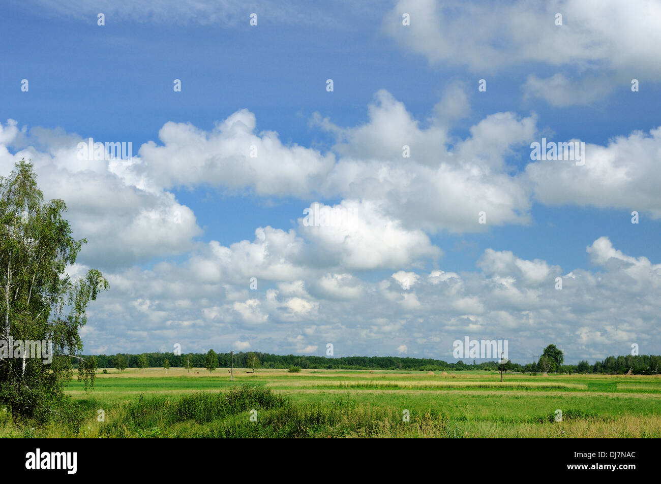 rural landscape with field sky and tree Stock Photo - Alamy
