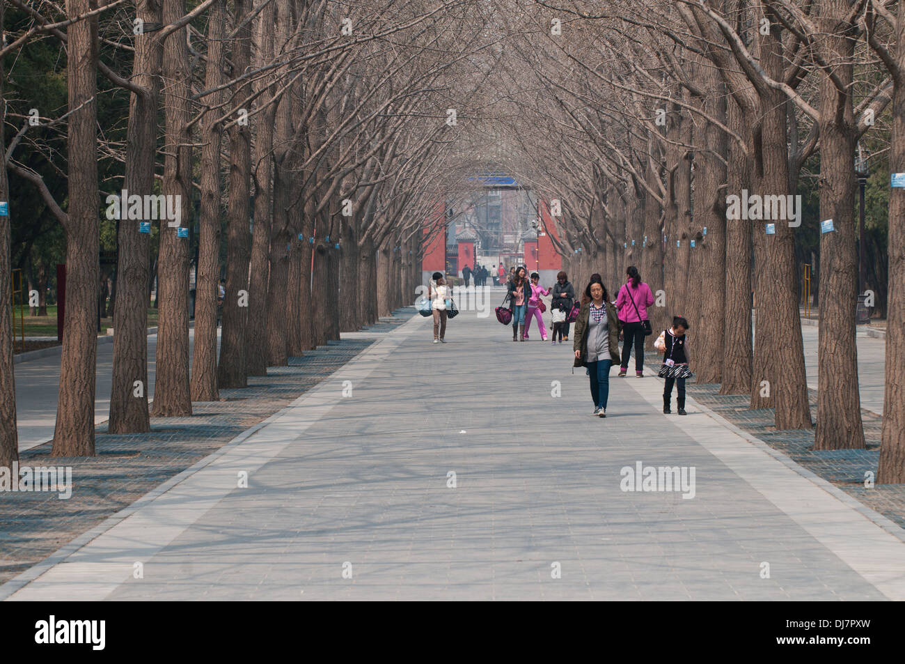 Temple of the Earth area (also called Ditan Park) in Beijing, China ...