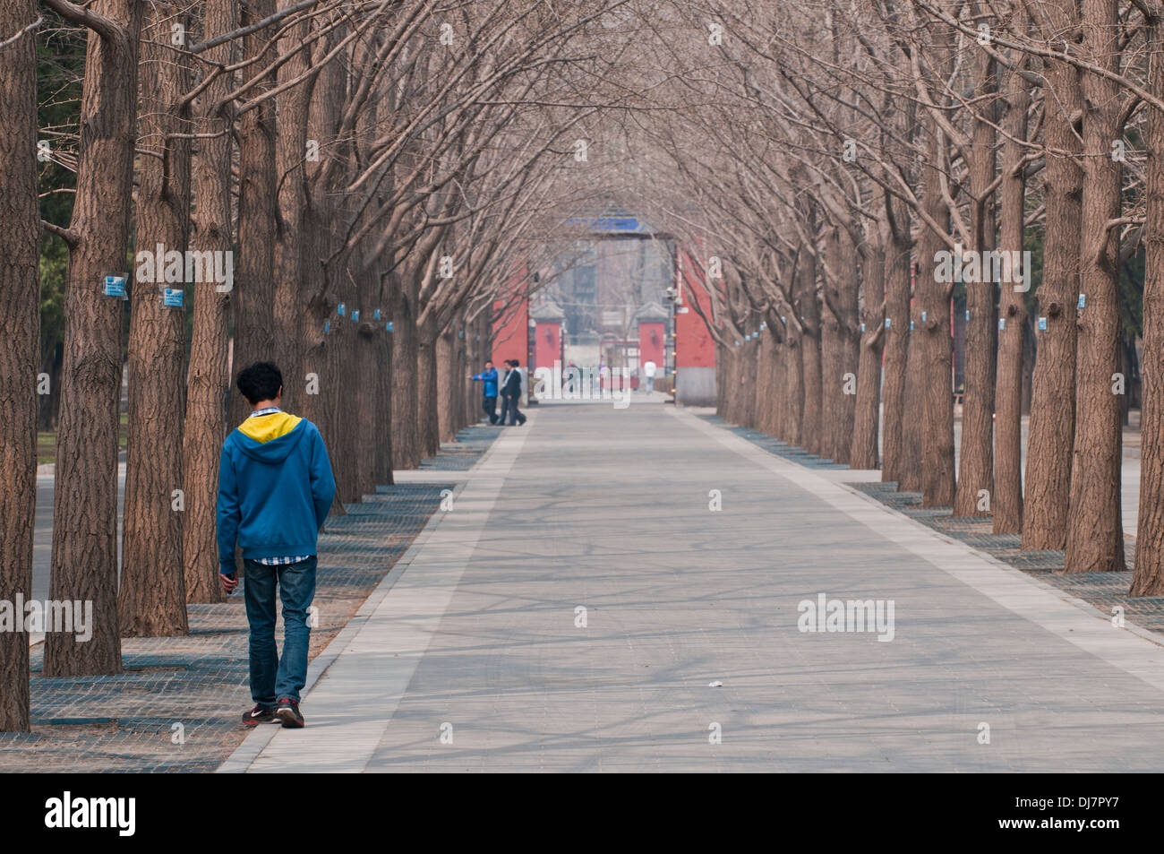 Temple of the Earth area (also called Ditan Park) in Beijing, China ...