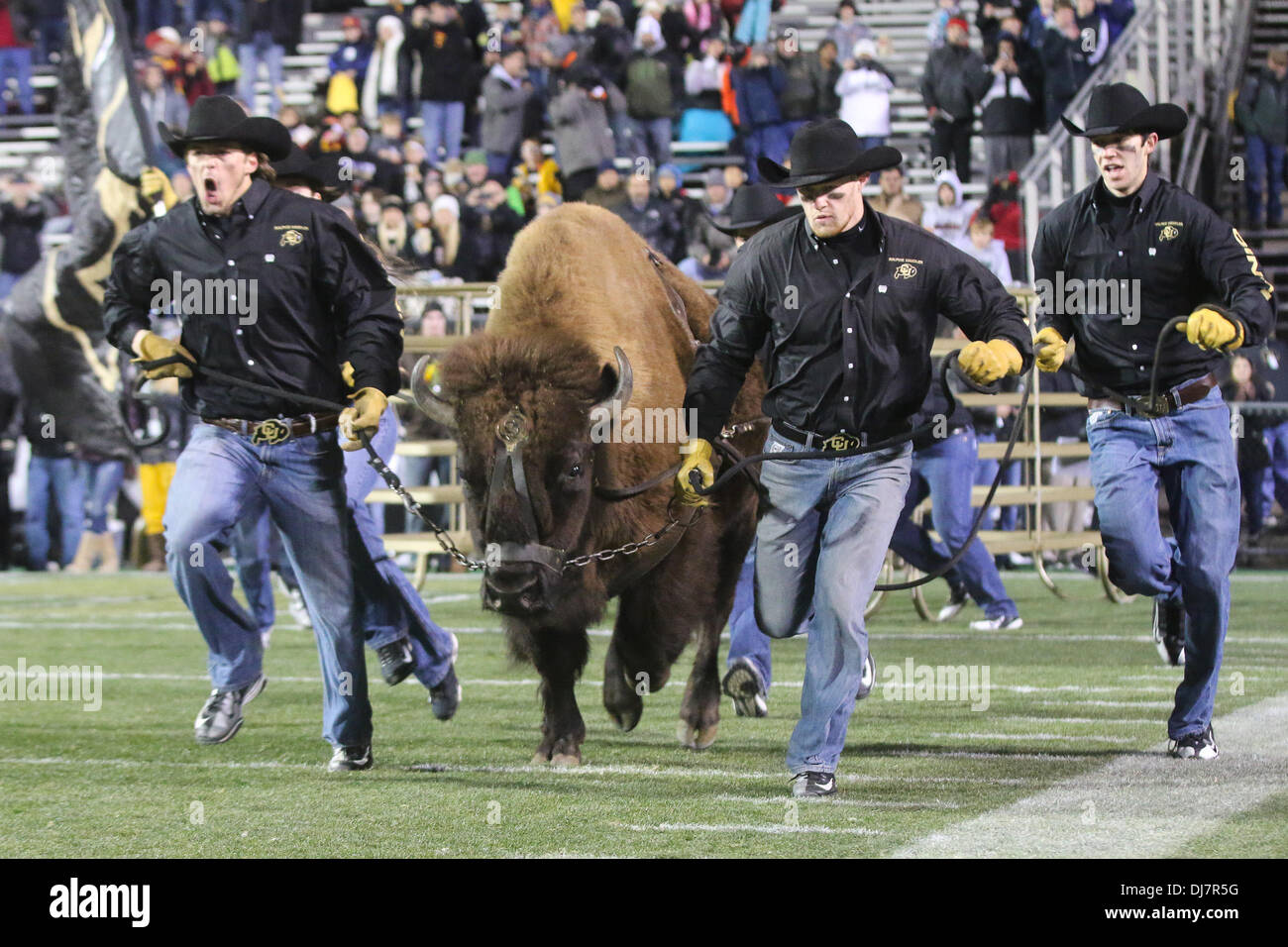 Ralphie buffalo hi-res stock photography and images - Alamy