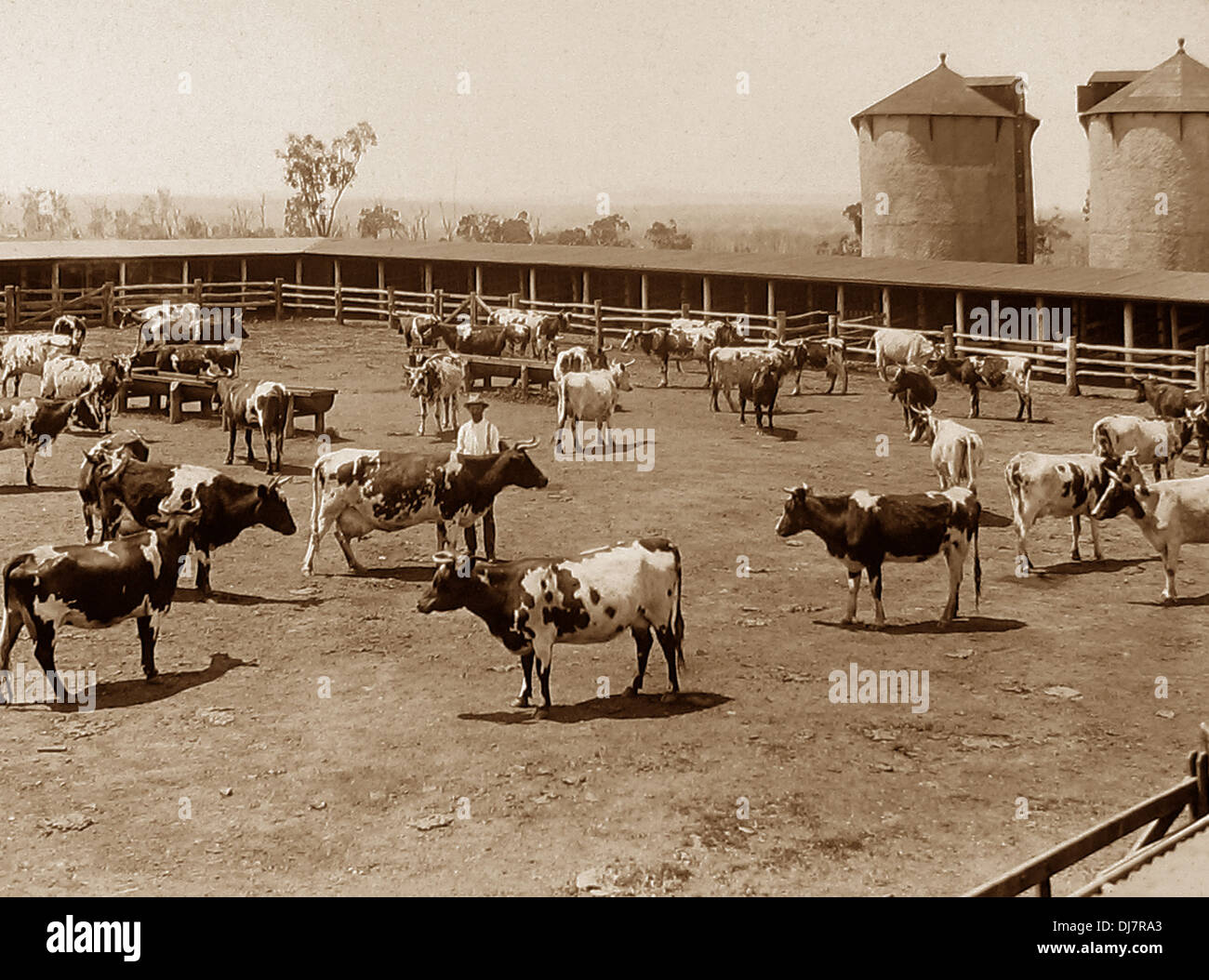 Early Settlers Australia High Resolution Stock Photography and Images ...
