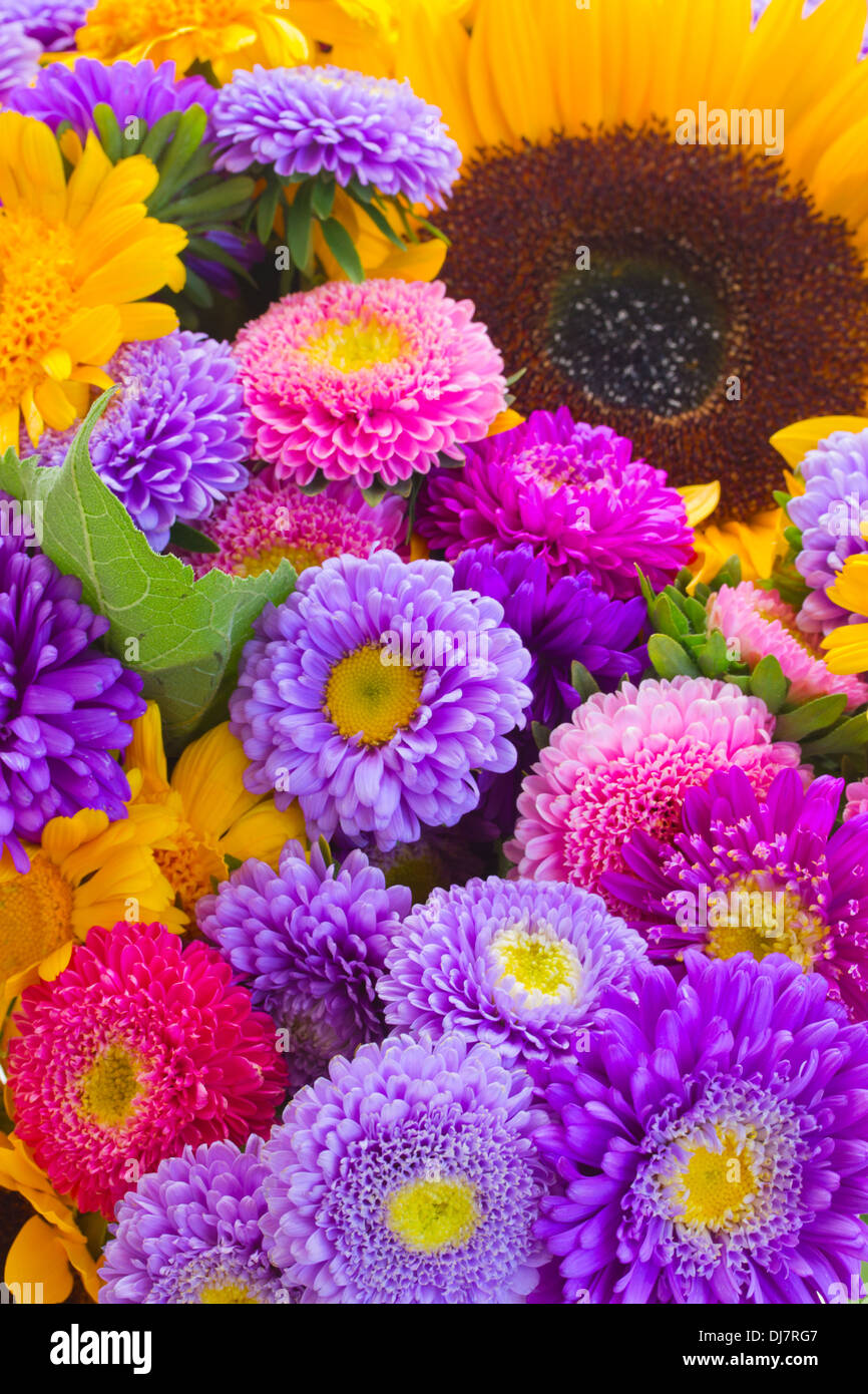 colorful autumn flowers background Stock Photo - Alamy