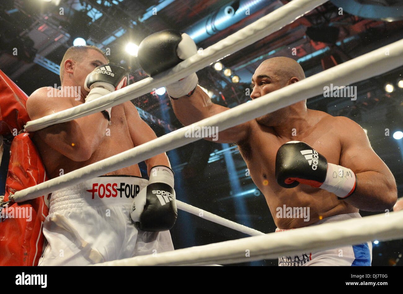 Australian boxer hi-res stock photography and images - Alamy