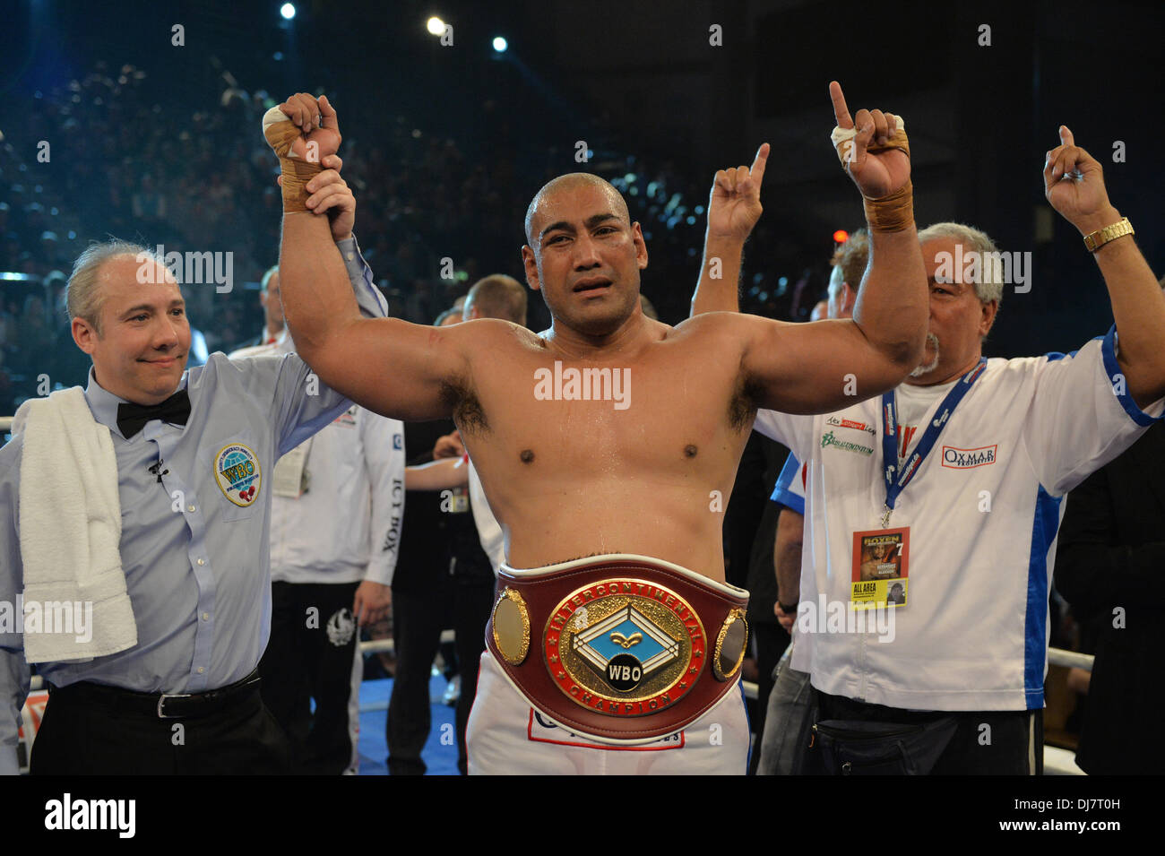 Australian boxer hi-res stock photography and images - Alamy