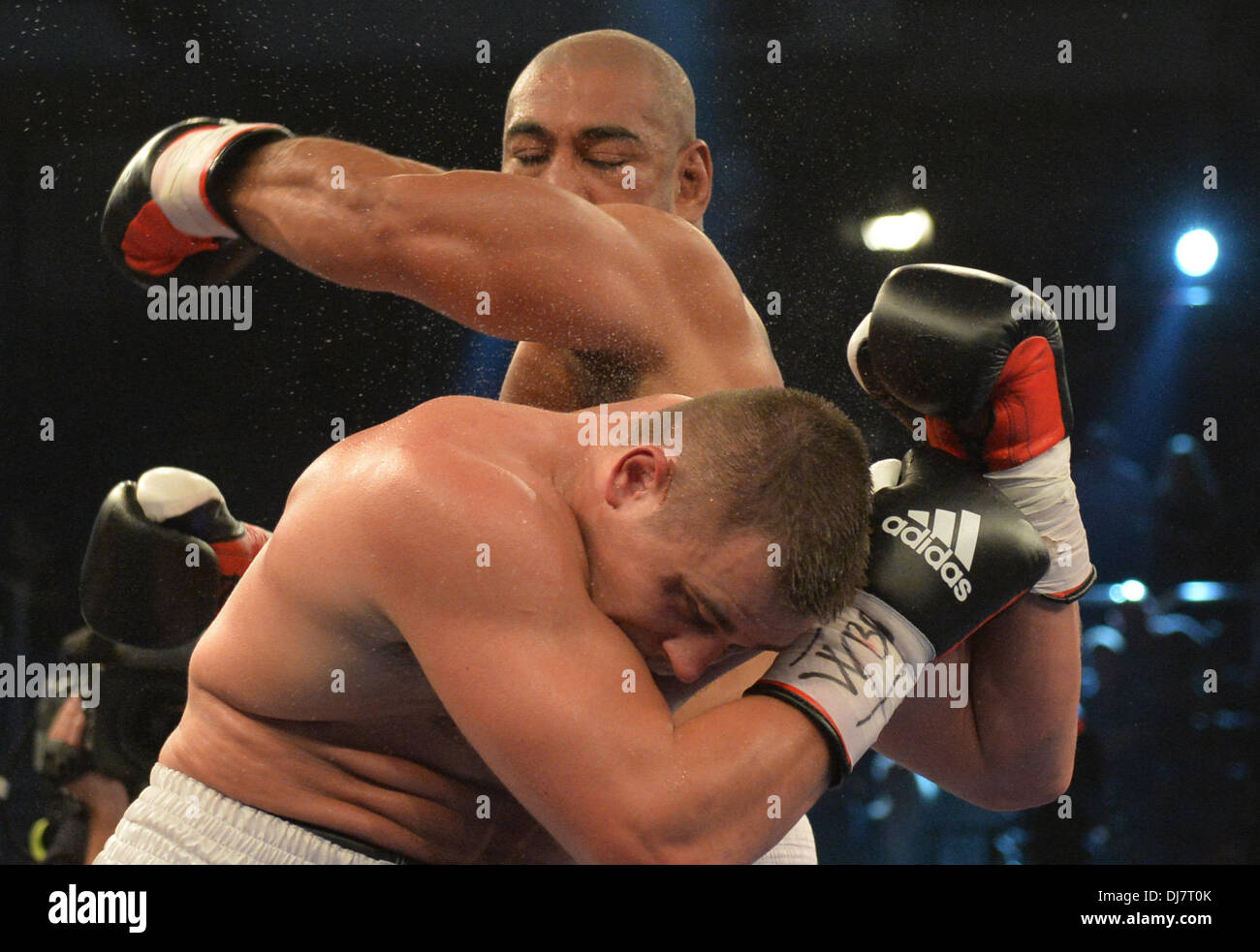Australian boxer hi-res stock photography and images - Alamy