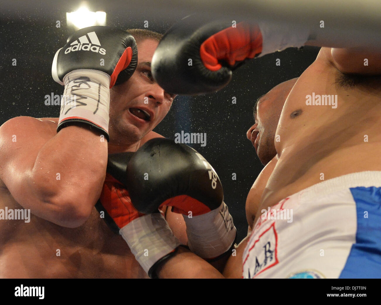 Australian boxer hi-res stock photography and images - Alamy