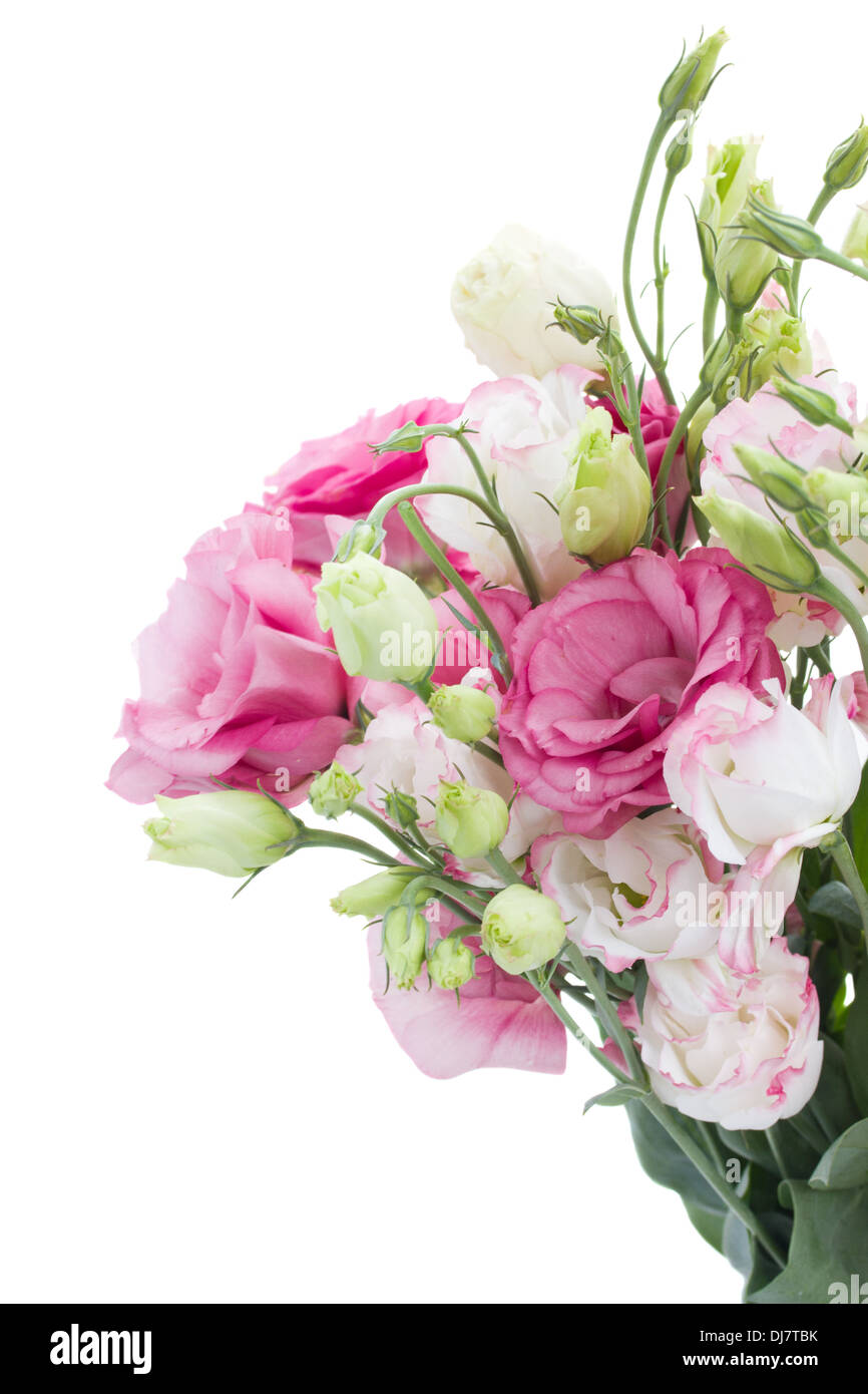 bunch of pink eustoma flowers Stock Photo - Alamy