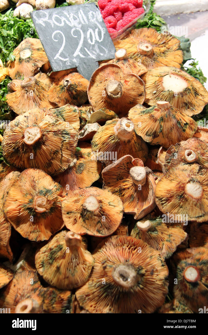 Mushrooms For Sale On A MArket Stall Stock Photo - Alamy