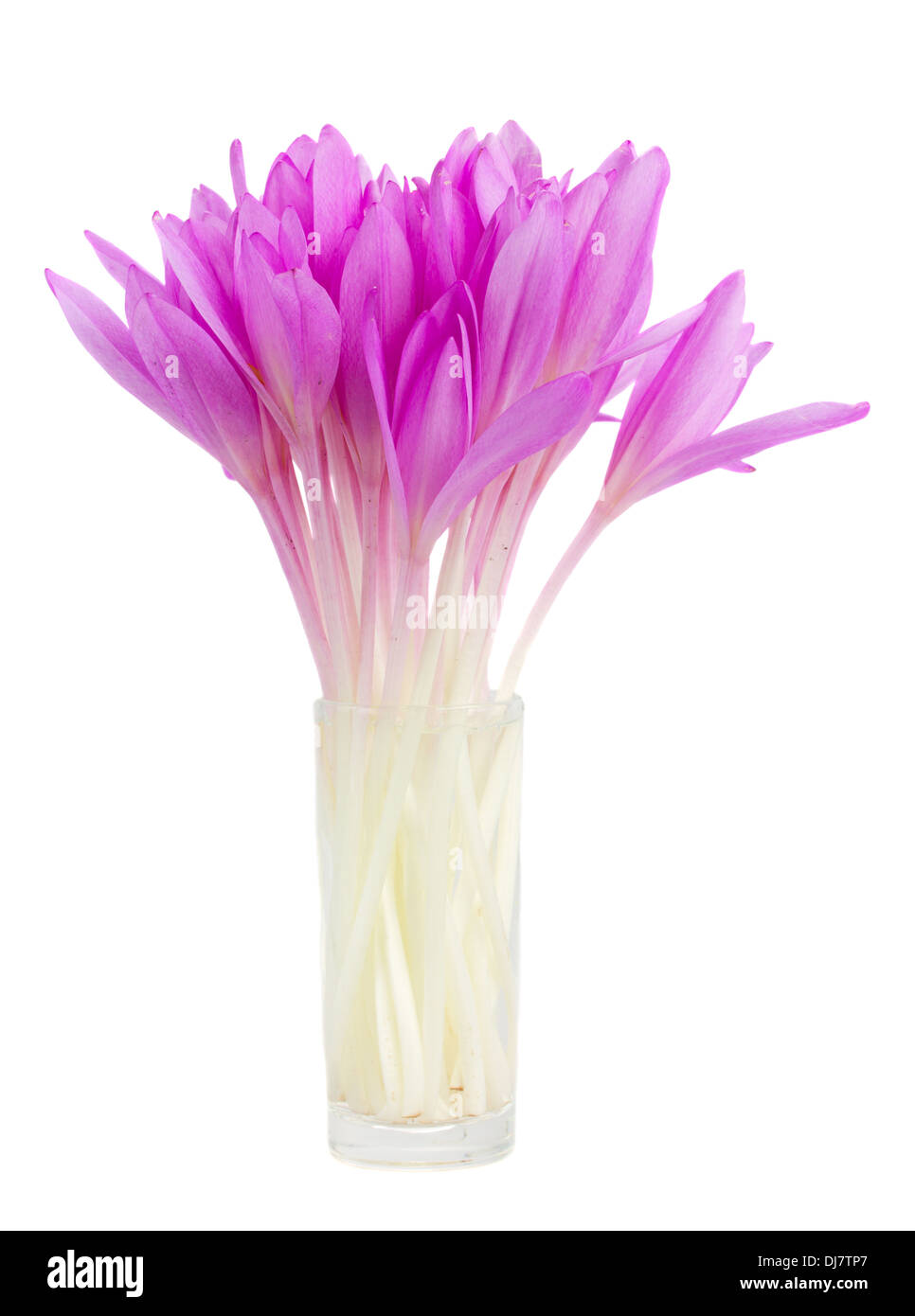 Wildflower meadow blooming in Cut Out Stock Images & Pictures - Alamy