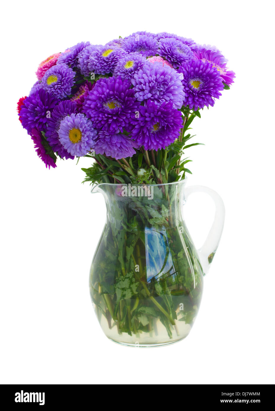 Aster pot garden hi-res stock photography and images - Alamy