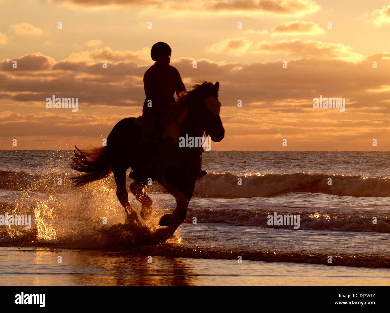 Galloping Horse And Rider Silhouette