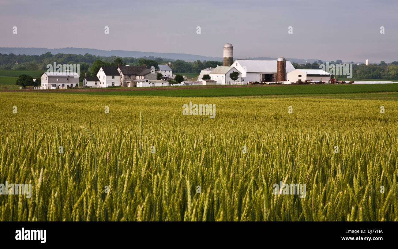 Amish farms in rural pennsylvania hi-res stock photography and images ...