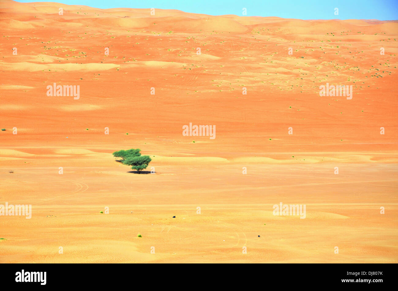 wahiba sands in oman Stock Photo - Alamy